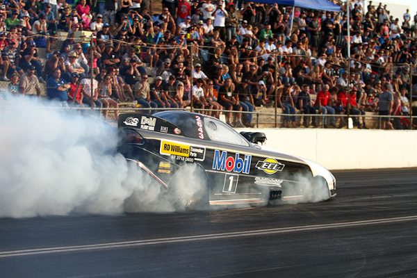 Steven Ham returns to Sydney with confidence - ANDRA